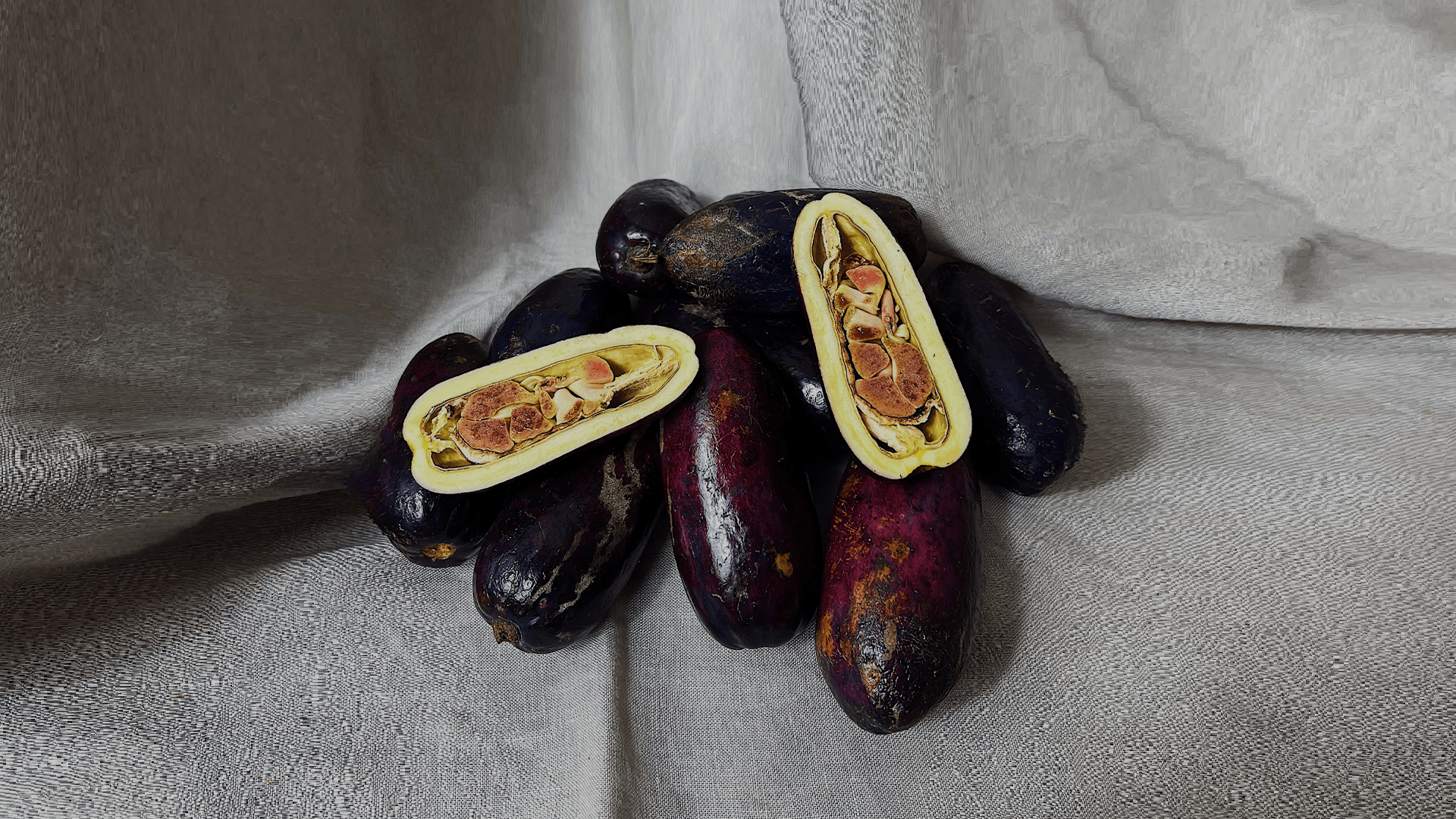 All you need to know about safou oil - KOBA skincare